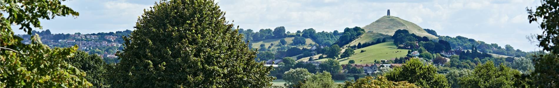 Home - Sharpham Park - The Champions of Organic British Spelt