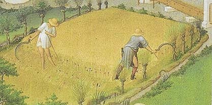 Steyning Museum archives: A Medieval Farming Community